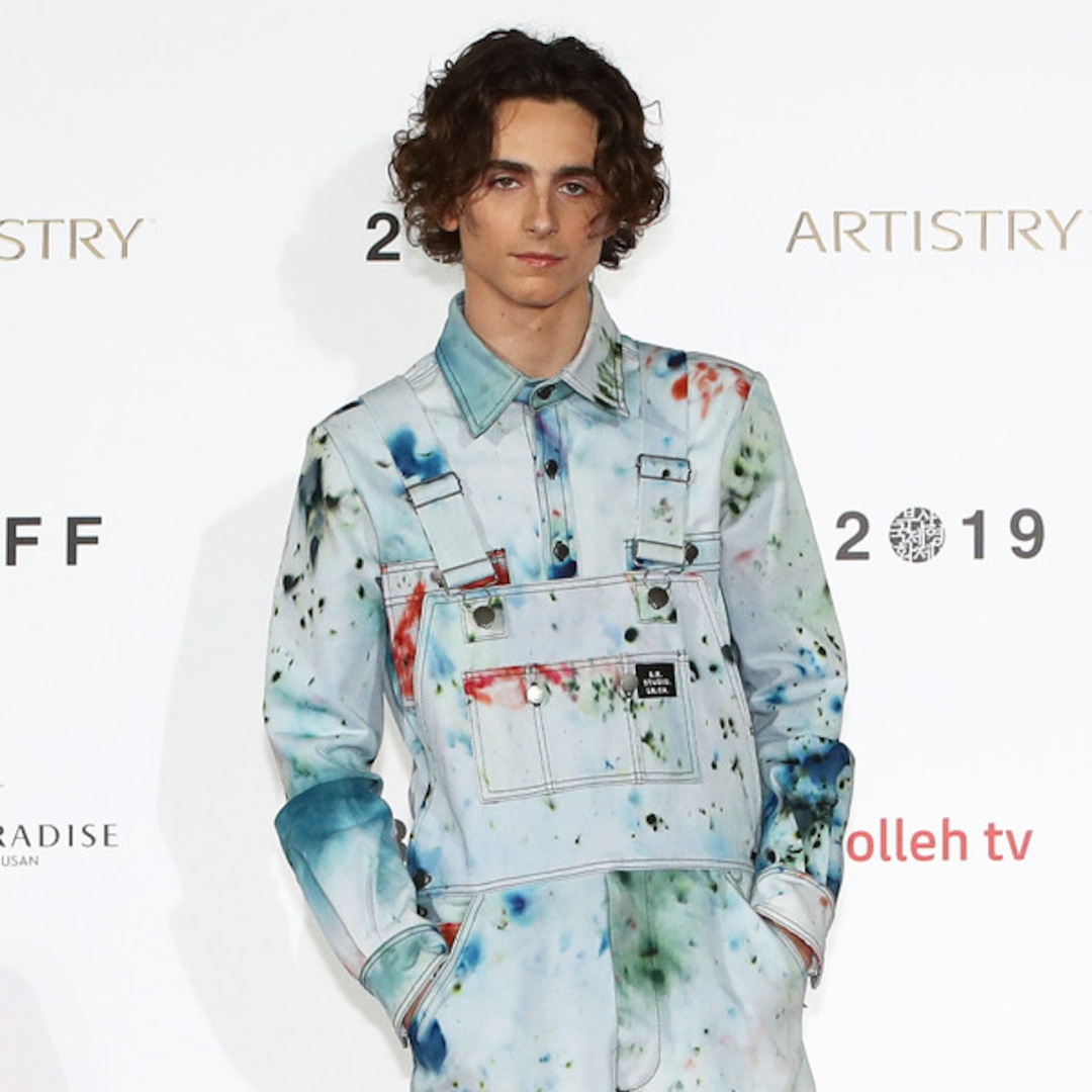 Timothee Chalamet's Best Looks Timothee Chalamet's Best Looks